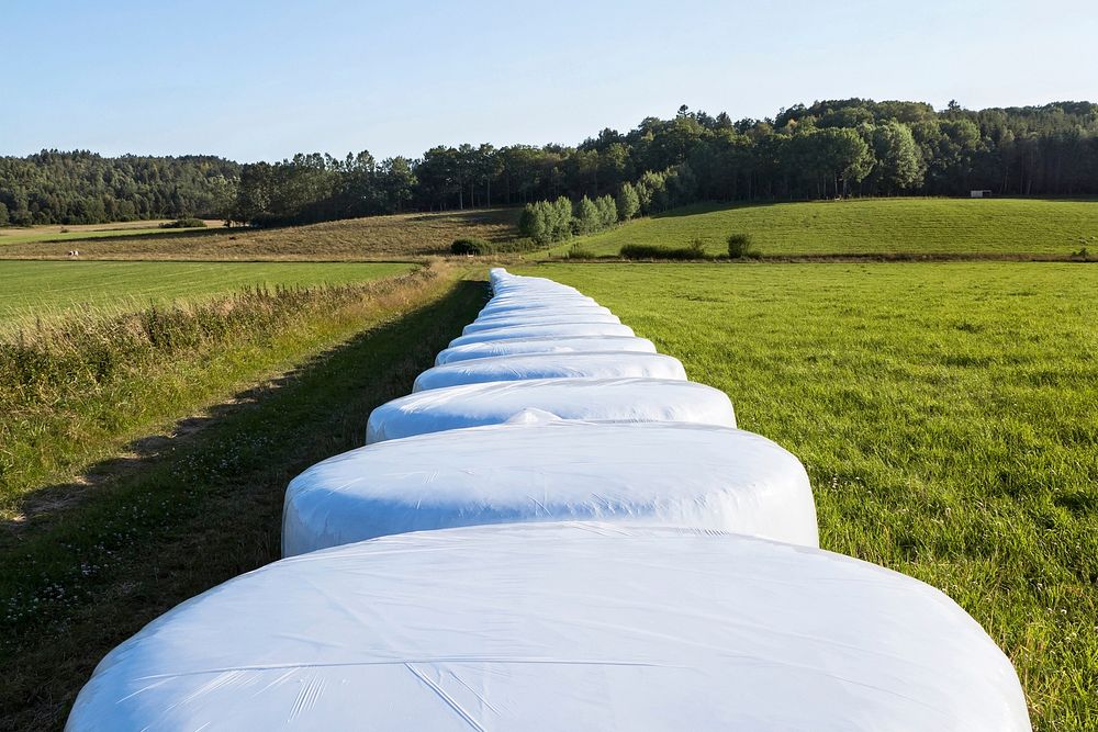 Silage Images | Free Photos, PNG Stickers, Wallpapers & Backgrounds ...