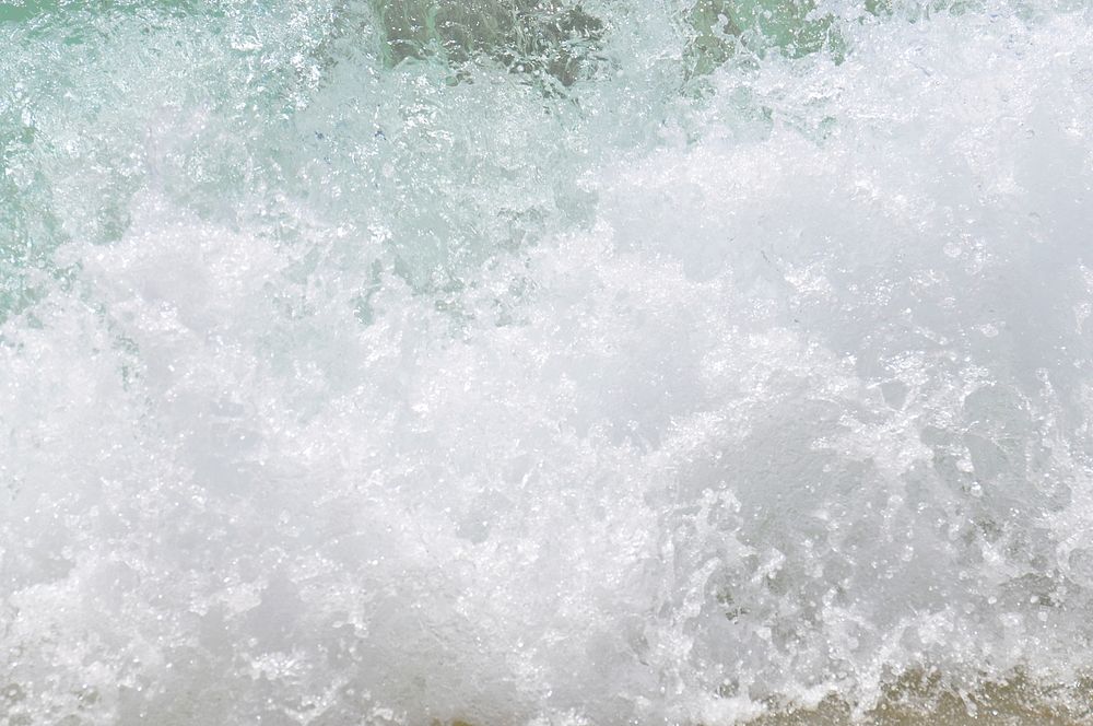 Free public domain CC0 photo. | Free Photo - rawpixel