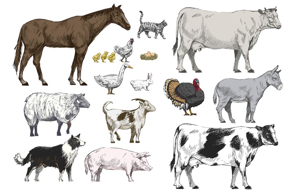 Illustration drawing style farm animals | Premium Vector - rawpixel