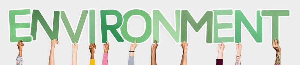 Diverse hands holding word environment | Premium Photo - rawpixel