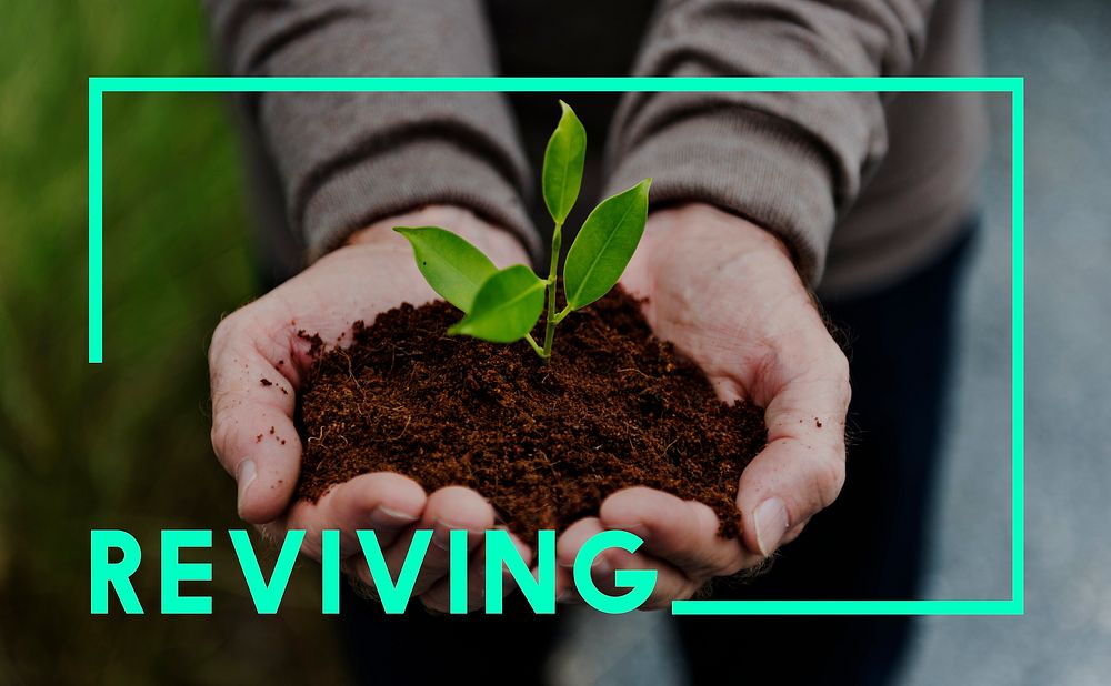 Reviving Go Green Sustainable Concept | Free Photo - rawpixel