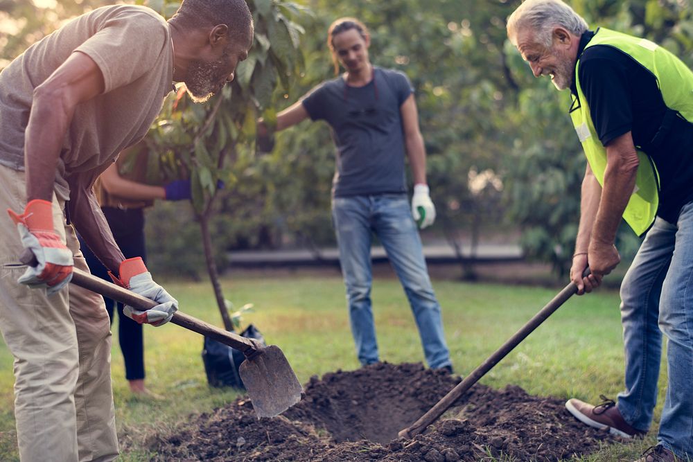 Group of people plant a tree | Photo - rawpixel