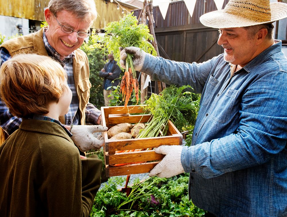 Group people gardening backyard together | Premium Photo - rawpixel
