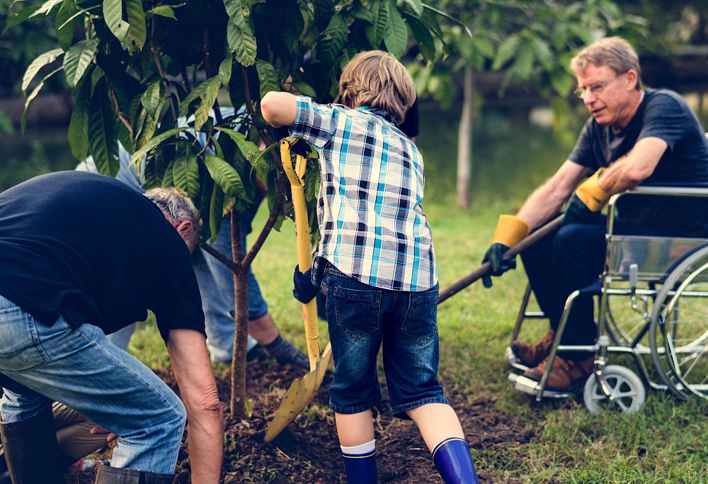 Group of people plant a tree | Premium Photo - rawpixel