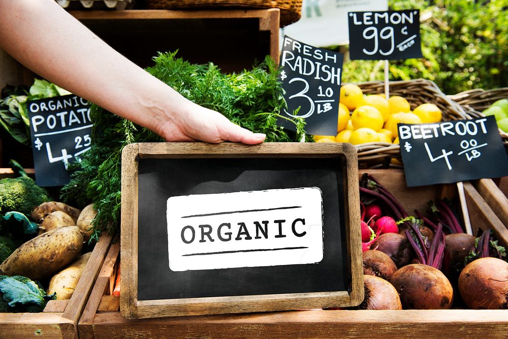 Fresh Natural Organic Product Concept | Free Photo - rawpixel