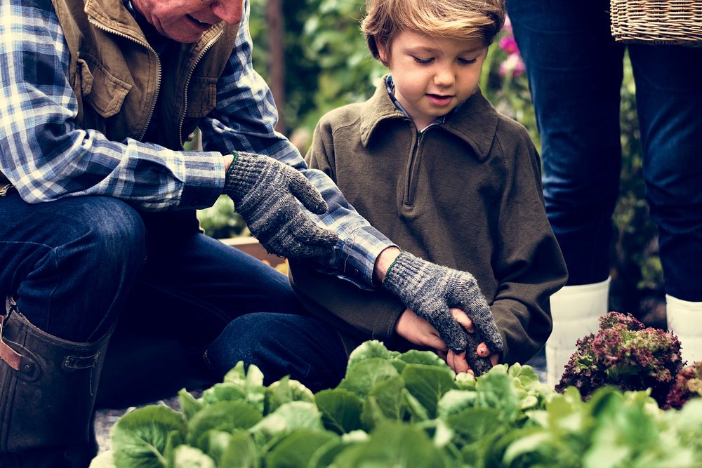 Group of people gardening backyard | Premium Photo - rawpixel