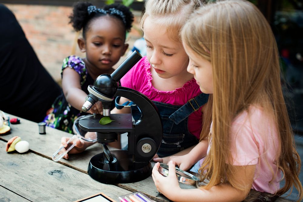 Group of Children are in a Field | Free Photo - rawpixel