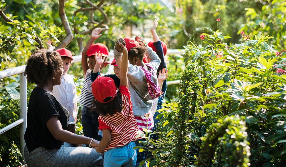 Group student is field trips | Free Photo - rawpixel