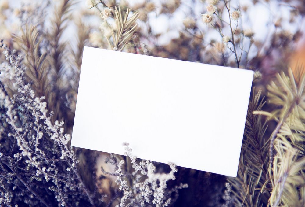 Floral Botany Name Card Background | Premium Photo - rawpixel