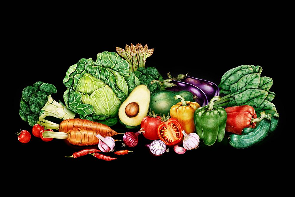 Hand drawn vegetables collection | Free Photo Illustration - rawpixel