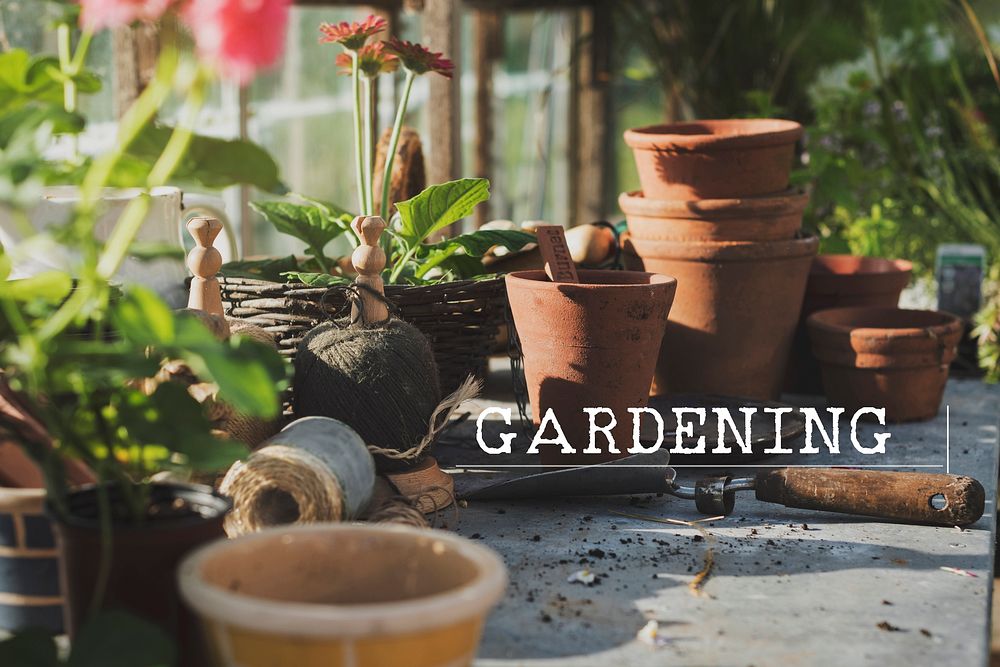 Planting Gardening Hobby Leisure Environment | Free Photo - rawpixel