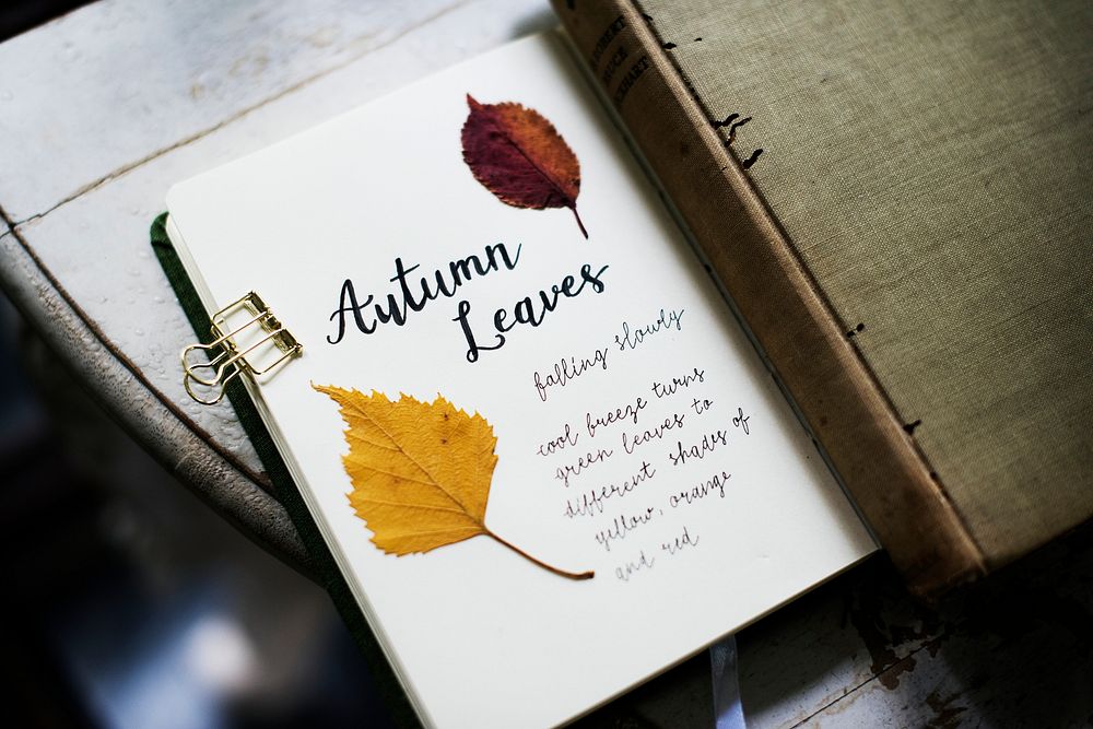 Pressed autumn leaves collection book | Premium Photo - rawpixel