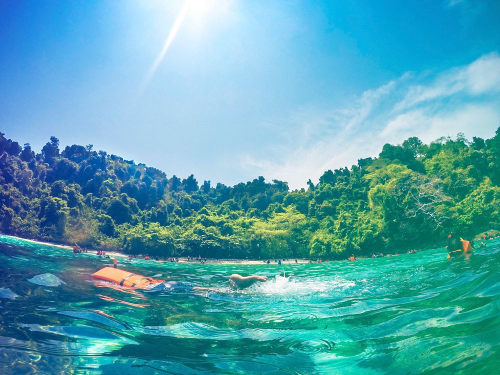 Environmental Ecology Nature Outdoors Organic | Free Photo - rawpixel