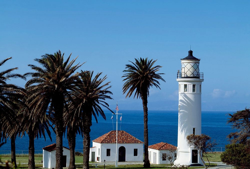 Verde Creative Commons Images | Free Photos, PNG Stickers, Wallpapers ...