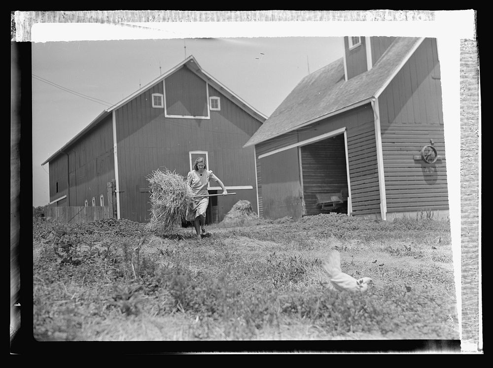 Agriculture. Women farms. Induction much | Free Photo - rawpixel