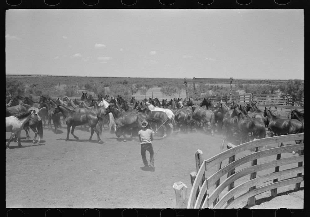 Horses corral. Cowboy has just | Free Photo - rawpixel