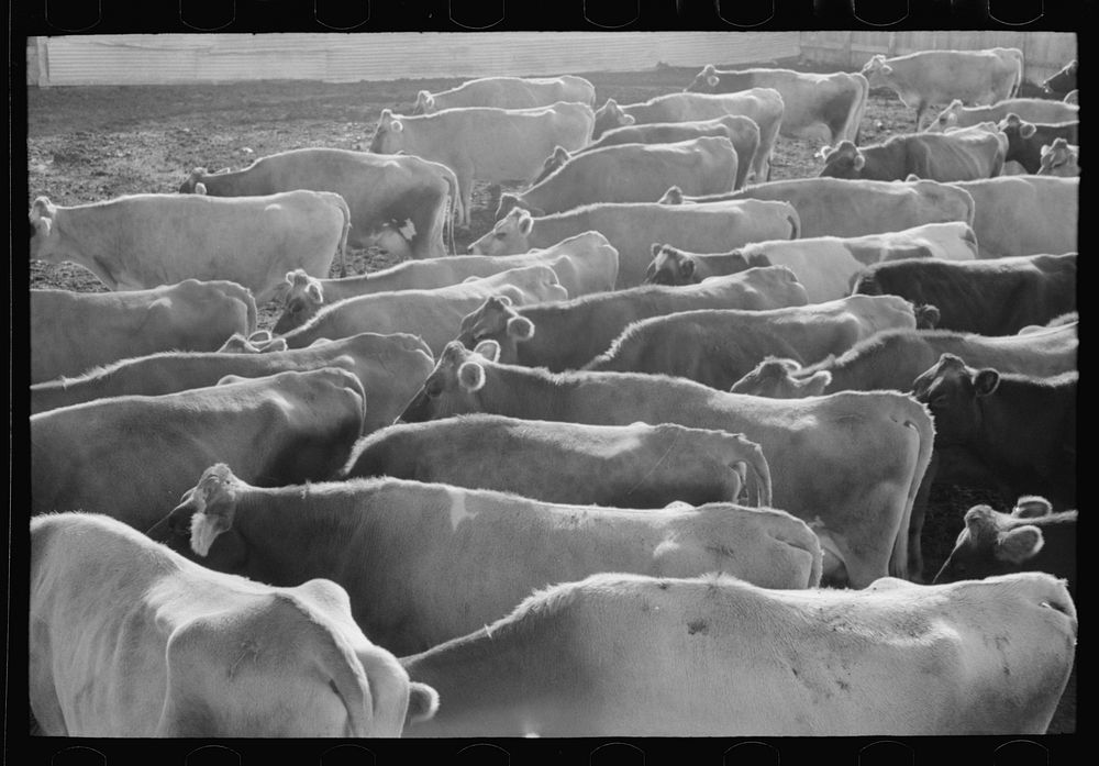 [Untitled photo, possibly related to: | Free Photo - rawpixel