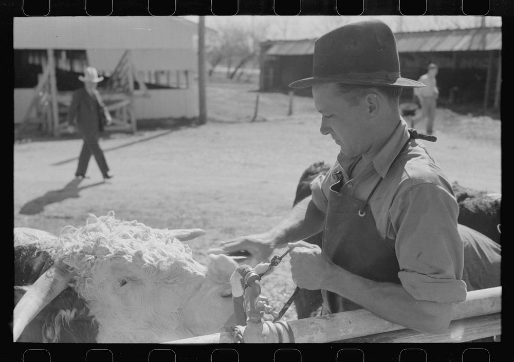 [Untitled photo, possibly related to: | Free Photo - rawpixel