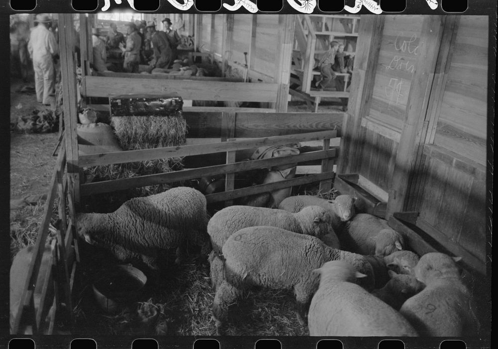 [Untitled photo, possibly related to: | Free Photo - rawpixel