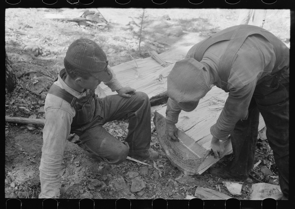 Measuring split log determine where | Free Photo - rawpixel