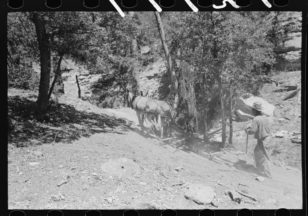 [Untitled photo, possibly related to: | Free Photo - rawpixel