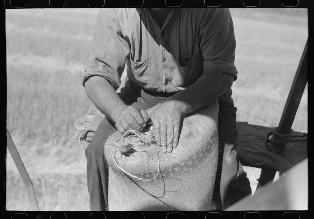 Sewing sack wheat combine, Walla | Free Photo - rawpixel