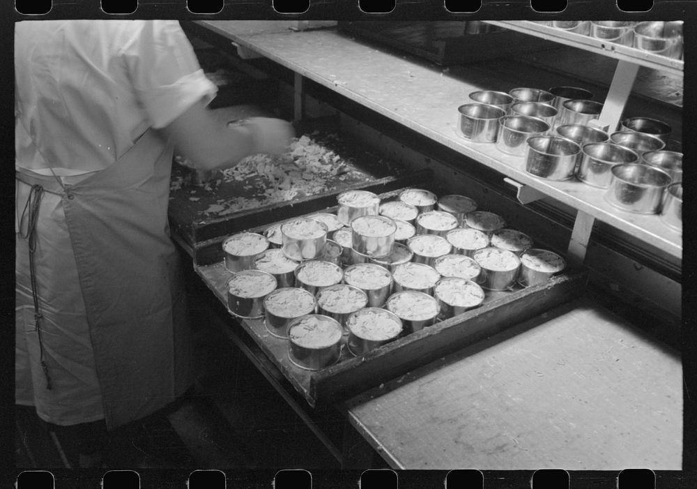 Packing tuna cans, Columbia River | Free Photo - rawpixel