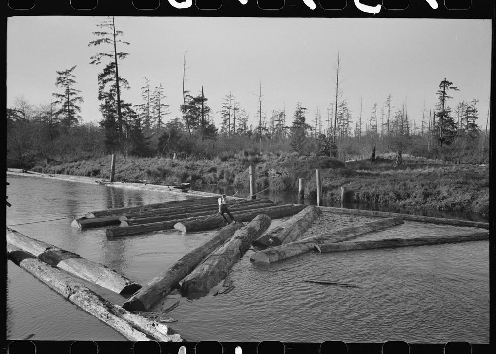 Lumberjack forming log raft slough | Free Photo - rawpixel