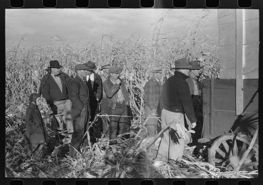 Spectators follow wagon and contestant | Free Photo - rawpixel