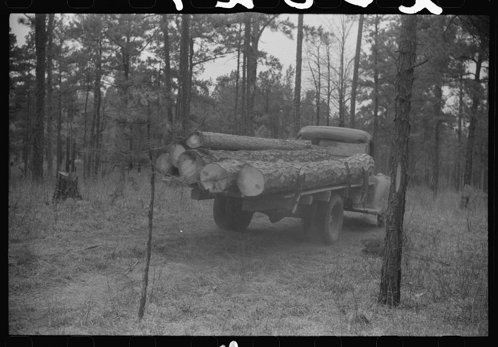 Hauling lumber, Heard County, Georgia | Free Photo - rawpixel