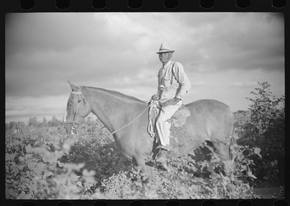 Josh Taylor, foreman who has | Free Photo - rawpixel