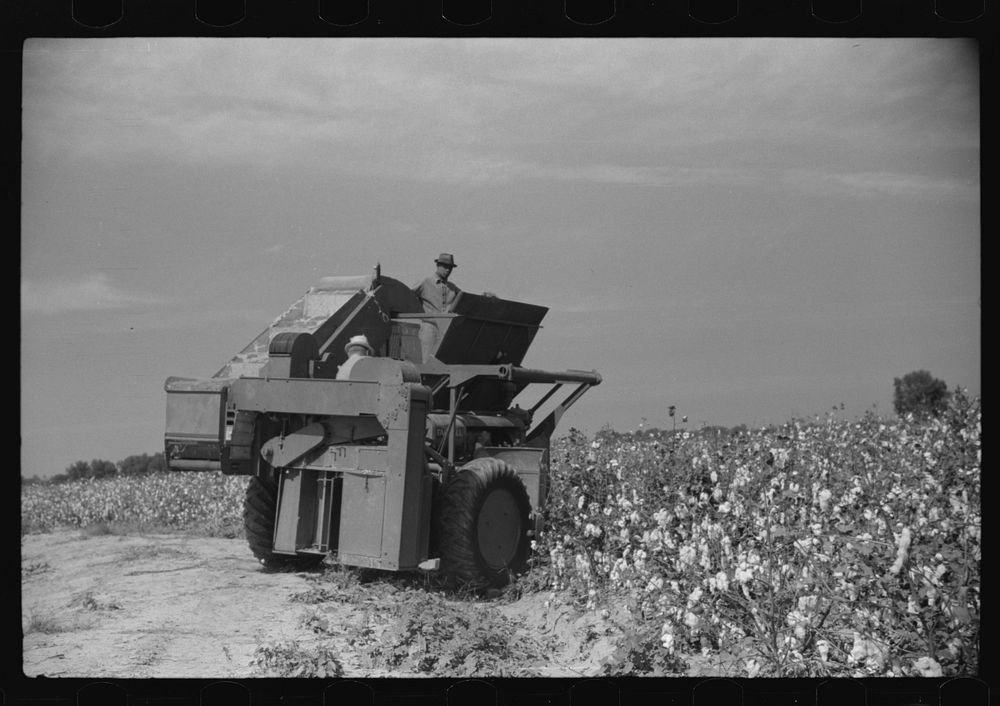 Rust cotton picker, Mileston Plantation, | Free Photo - rawpixel