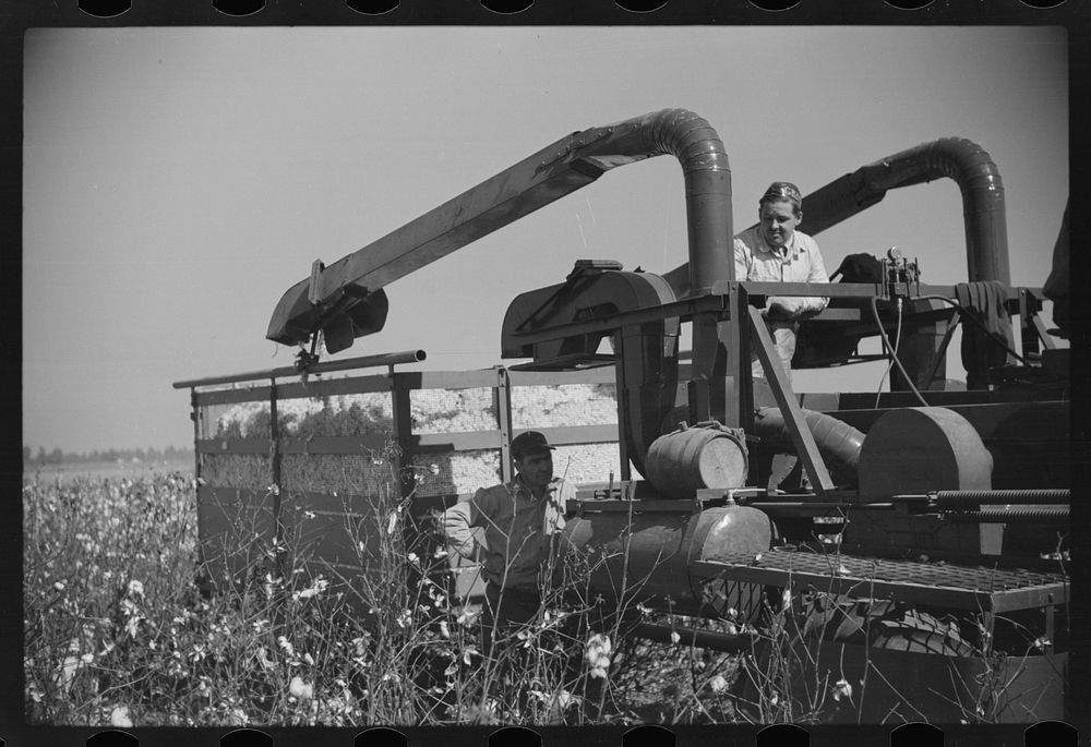 [Untitled photo, possibly related to: | Free Photo - rawpixel