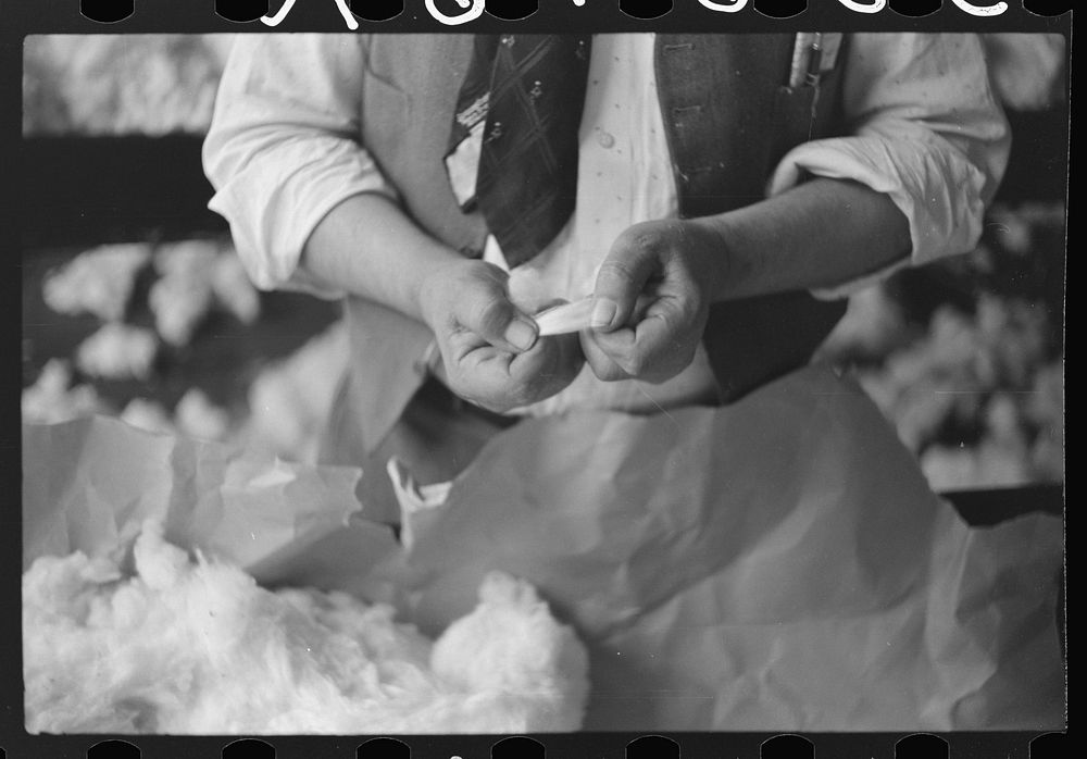 Sampling cotton classing room cotton | Free Photo - rawpixel