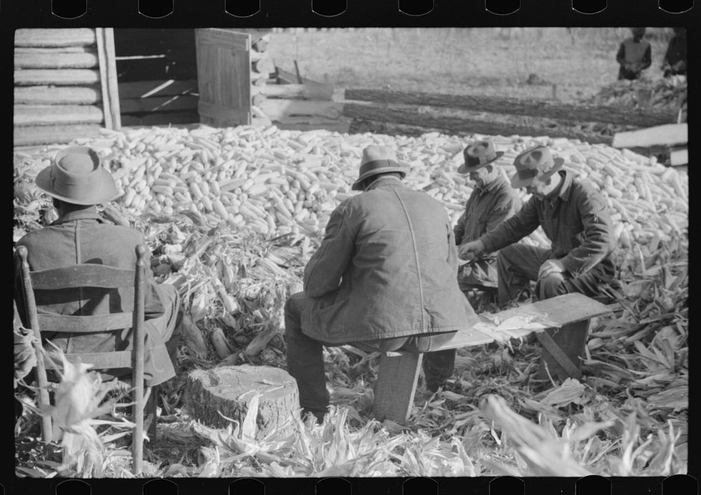 [Untitled photo, possibly related to: | Free Photo - rawpixel