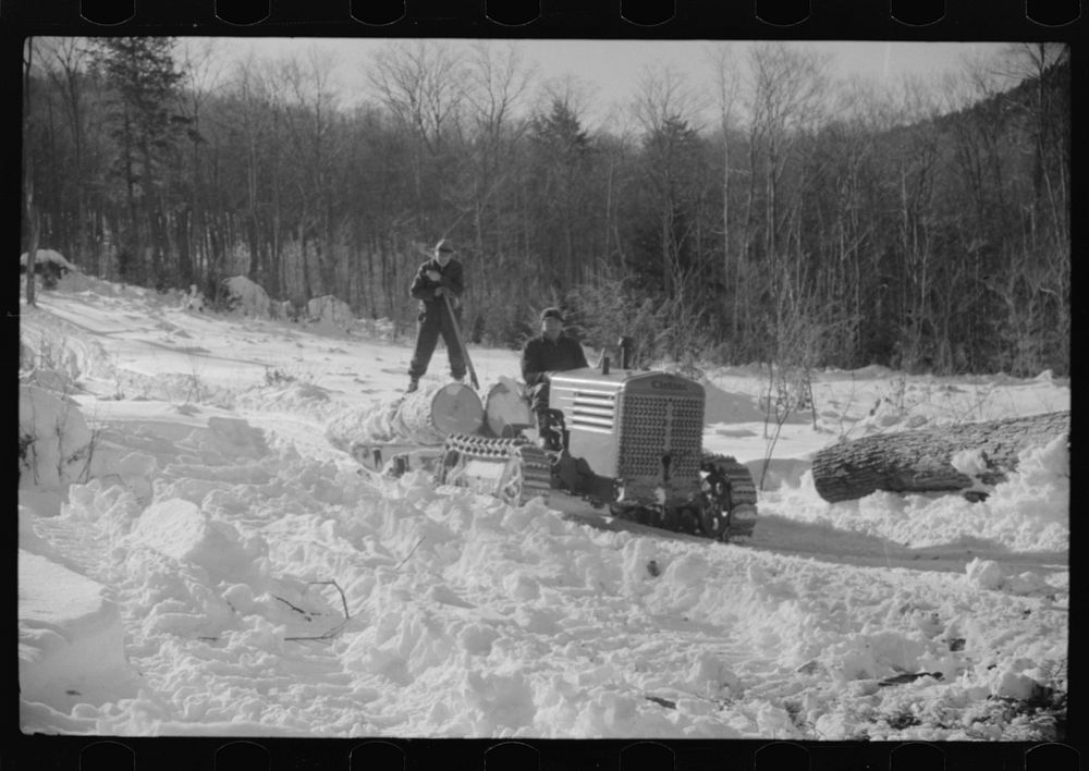 Hauling timber tractor road it | Free Photo - rawpixel