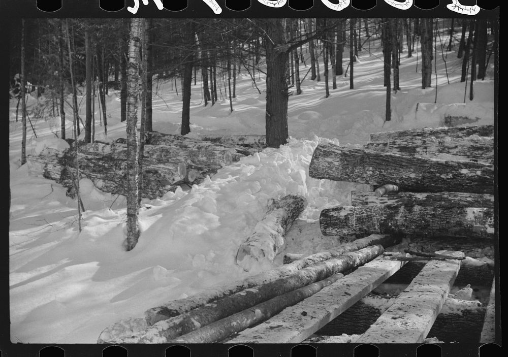 Logs hauled tractor road where | Free Photo - rawpixel