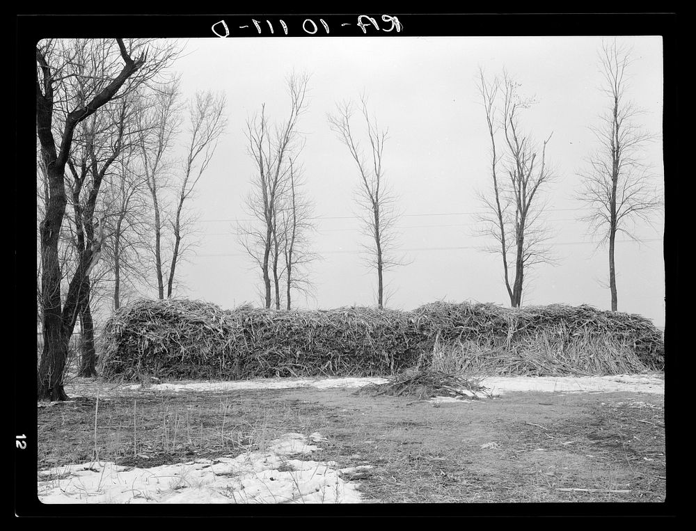 Stacks fodder. Emmet County, Iowa | Free Photo - rawpixel