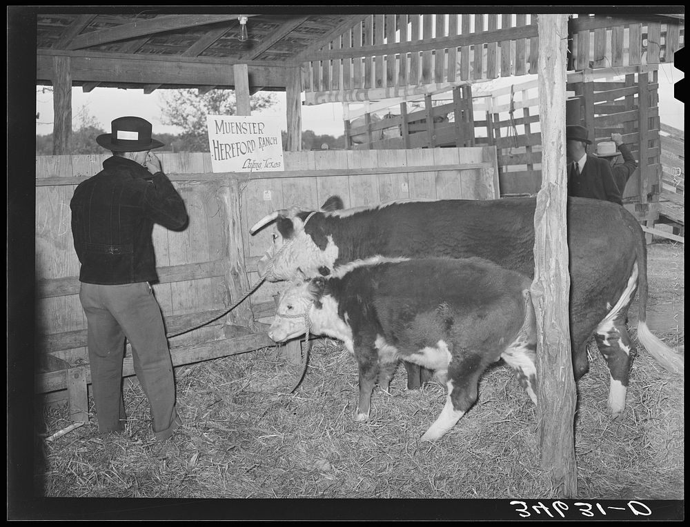 [Untitled photo, possibly related to: | Free Photo - rawpixel