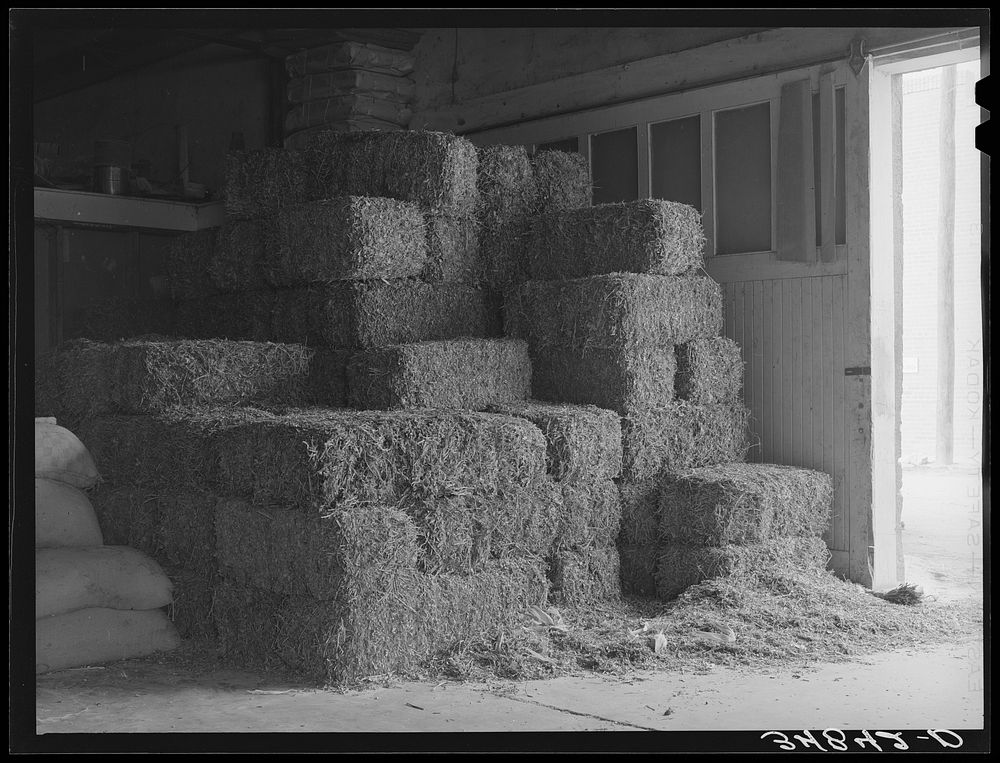Peanut hay feed store. Brownwood | Free Photo - rawpixel