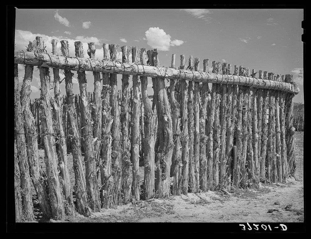 Fence constructed Mormon farmer Box | Free Photo - rawpixel