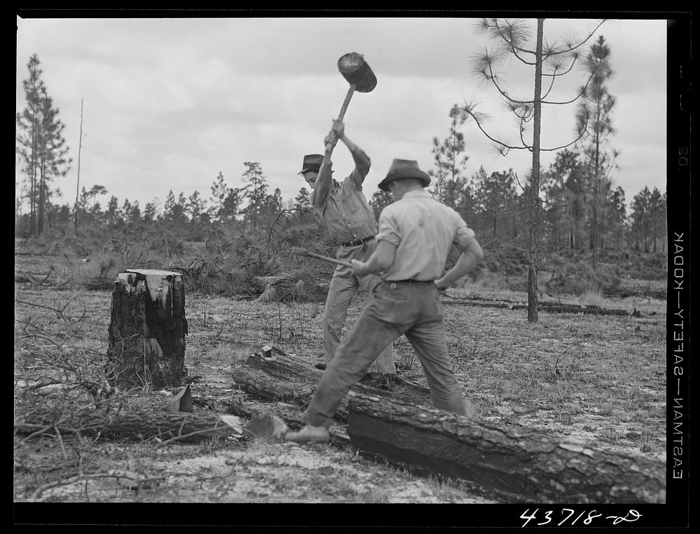 Terry Hendricks and James Butler | Free Photo - rawpixel