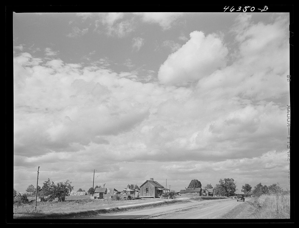 Along road Union Point Woodville, | Free Photo - rawpixel