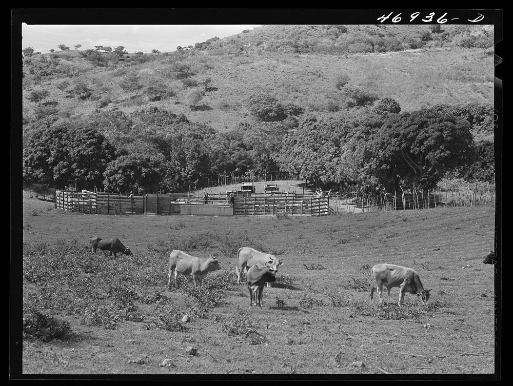 [Untitled photo, possibly related to: | Free Photo - rawpixel