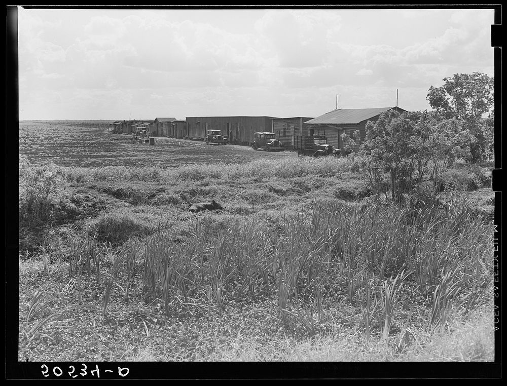 migrant agricultural workers' quarters irrigation | Free Photo - rawpixel