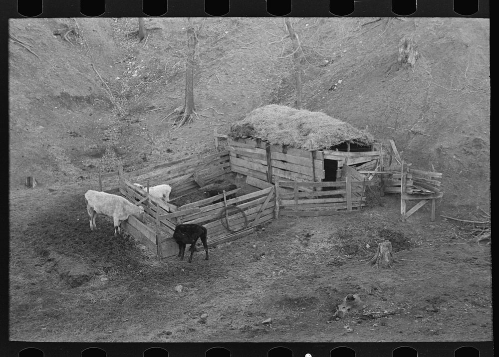 Livestock shelter Charles Banta farm | Free Photo - rawpixel