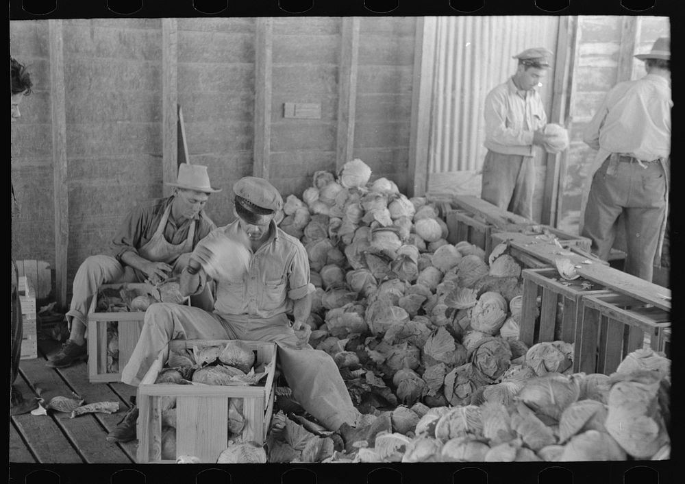 [Untitled photo, possibly related to: | Free Photo - rawpixel