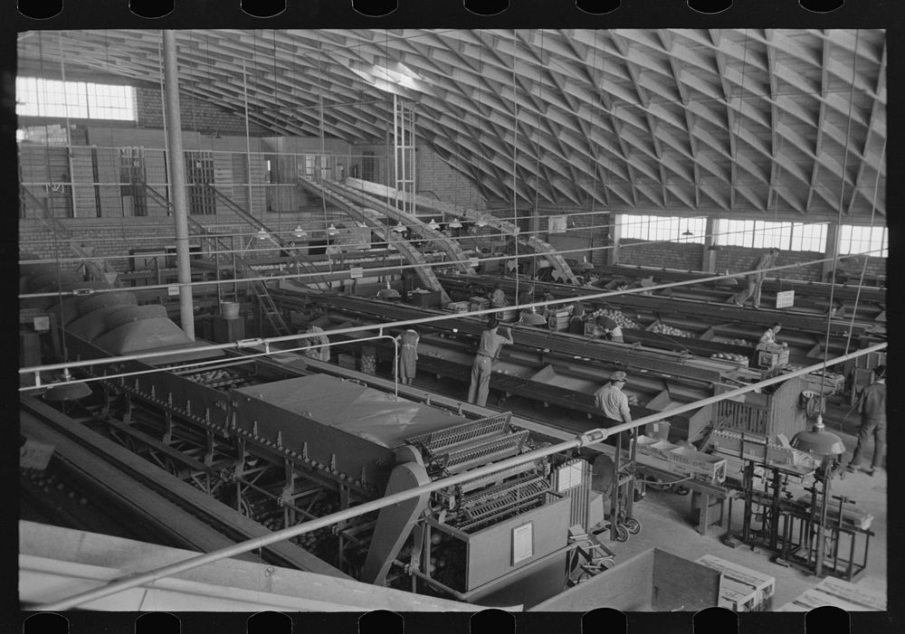 Citrus packing plant Weslaco, Texas | Free Photo - rawpixel