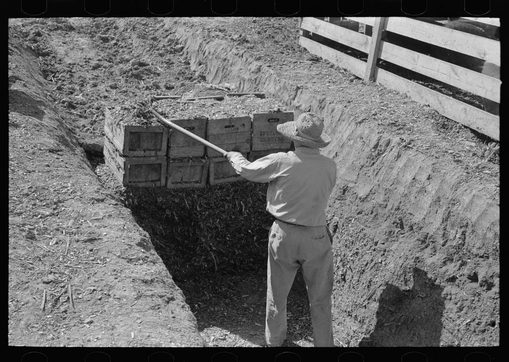 Loading boxes silage trench silo | Free Photo - rawpixel