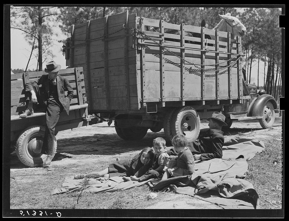 Atlanta mule warehouse sends camp | Free Photo - rawpixel